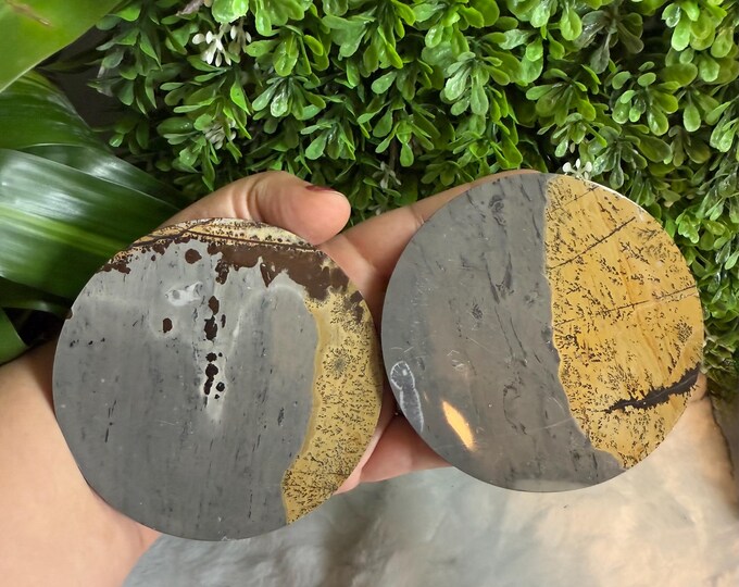 Picture Jasper Slabs | Picture Jasper Slices | Picture Jasper Coasters ...