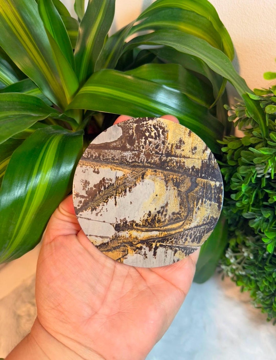 Picture Jasper Slabs | Picture Jasper Slices | Picture Jasper Coasters ...