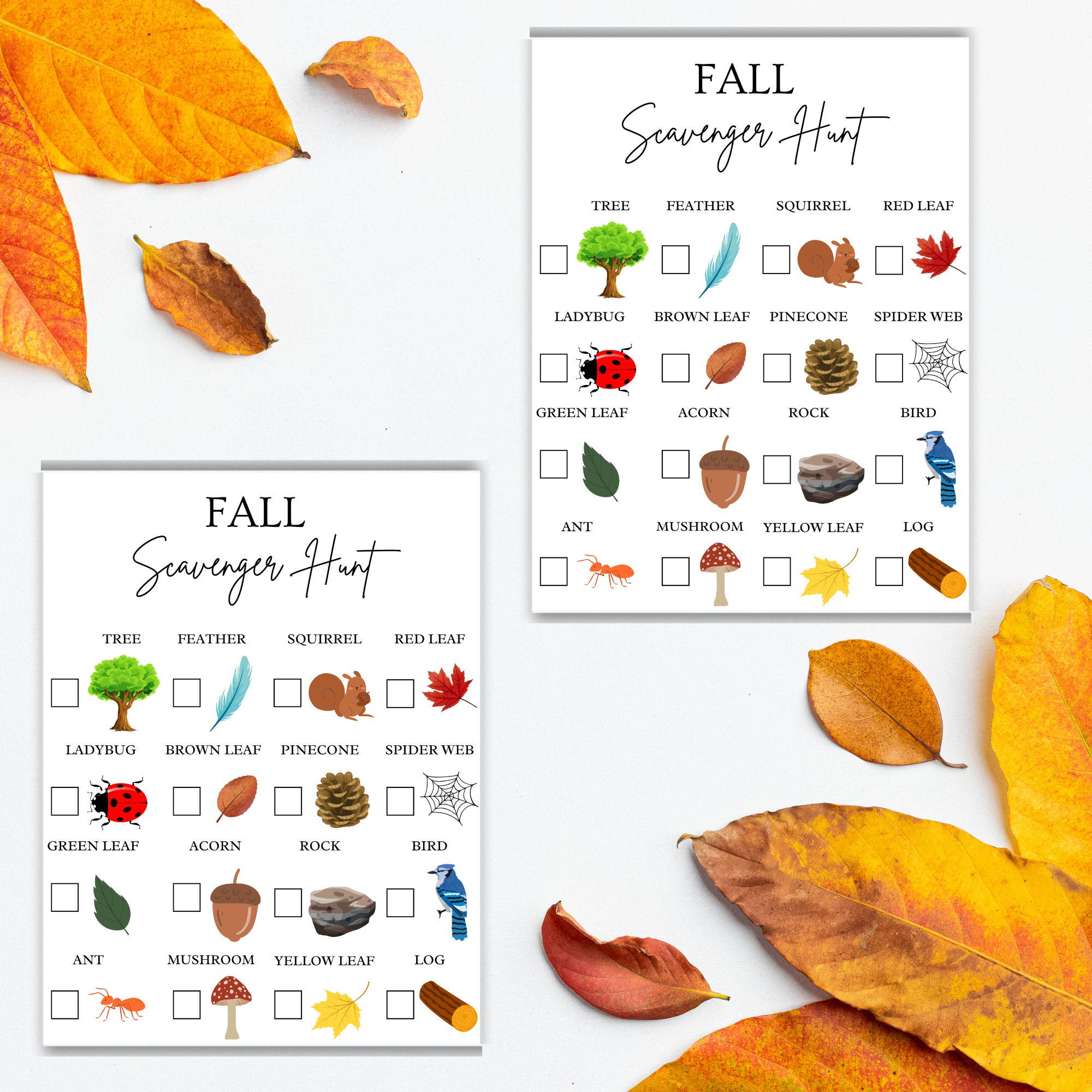 Fall Nature Scavenger Hunt for Kids: Outdoor Autumn Activity (PDF) - Etsy
