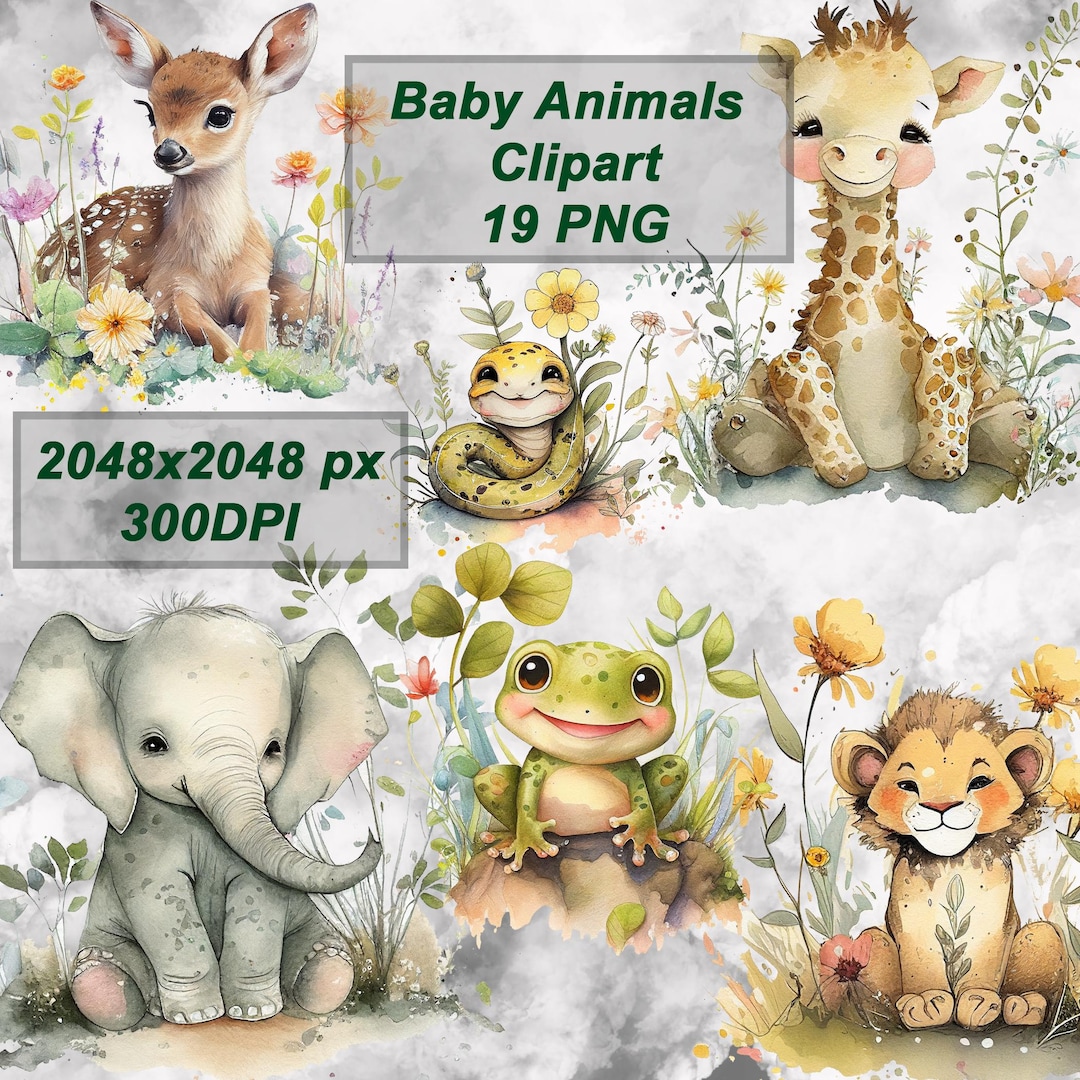Cute Baby Animal Cliparts - Etsy