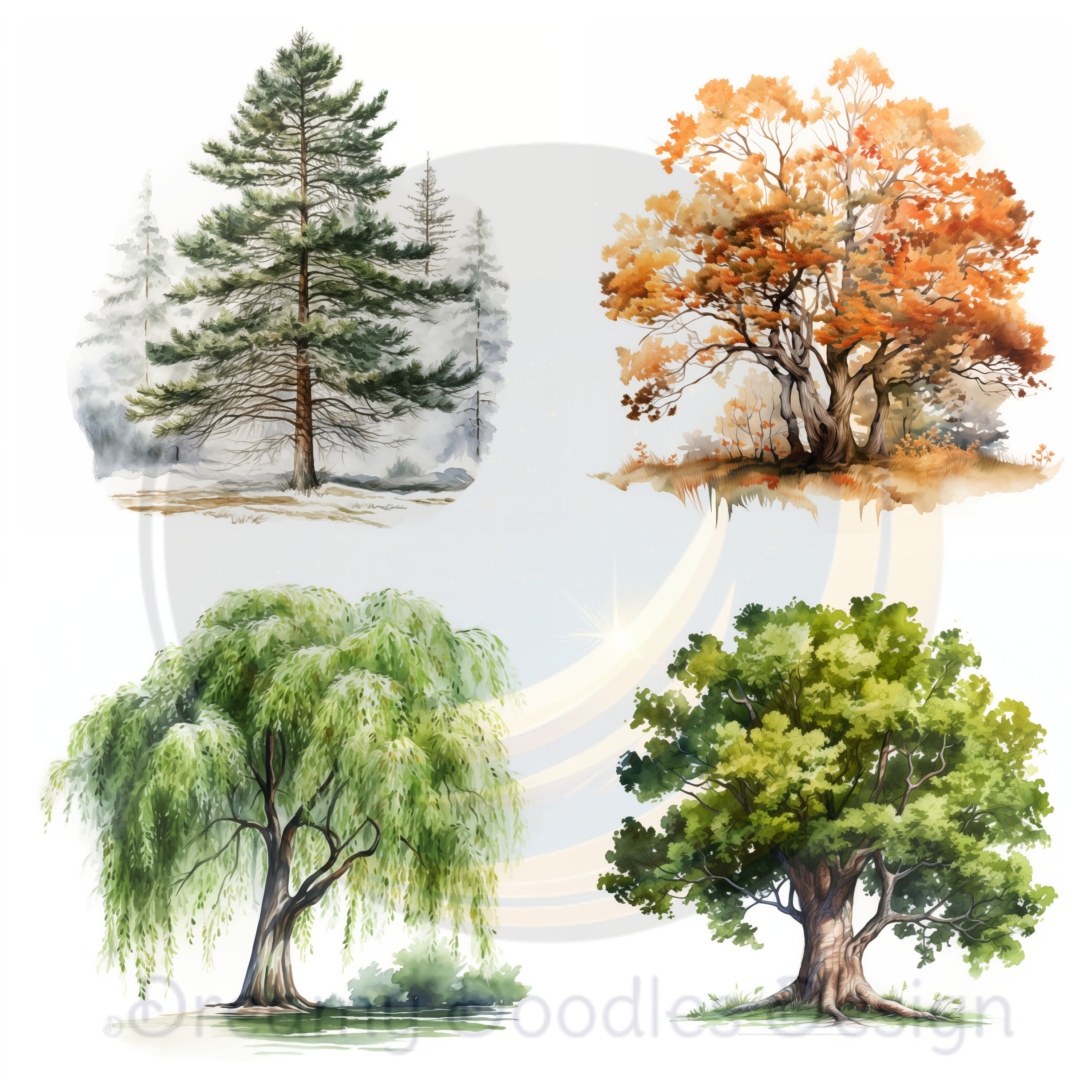 Watercolor Tree Clipart - Etsy