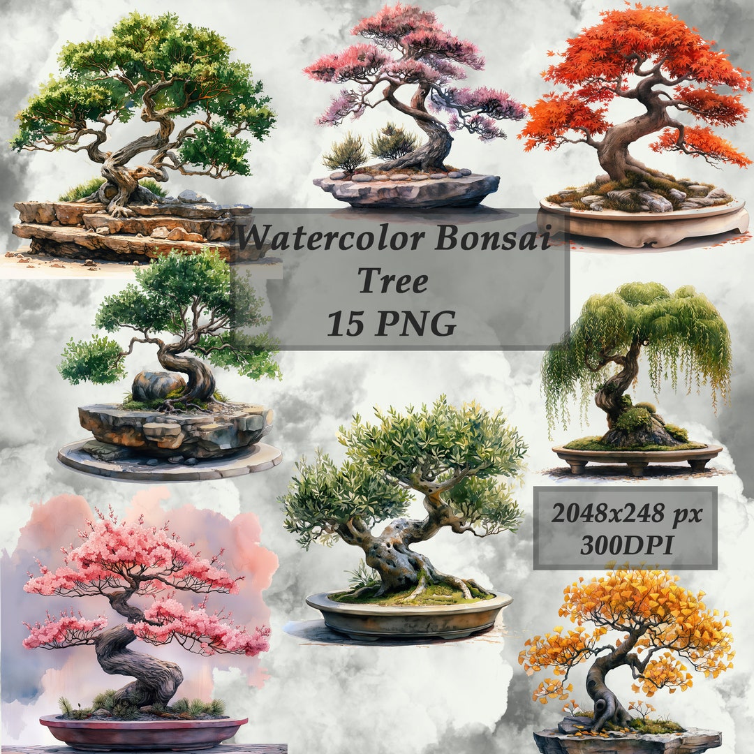 Watercolor Bonsai Tree Clipart, Tropical Clipart, Watercolor Bonsai ...