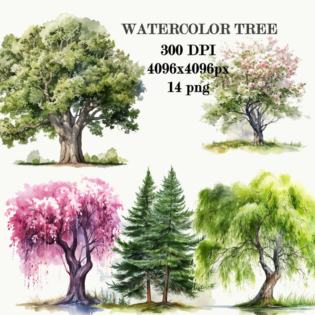 Watercolor Tree Clipart - Etsy