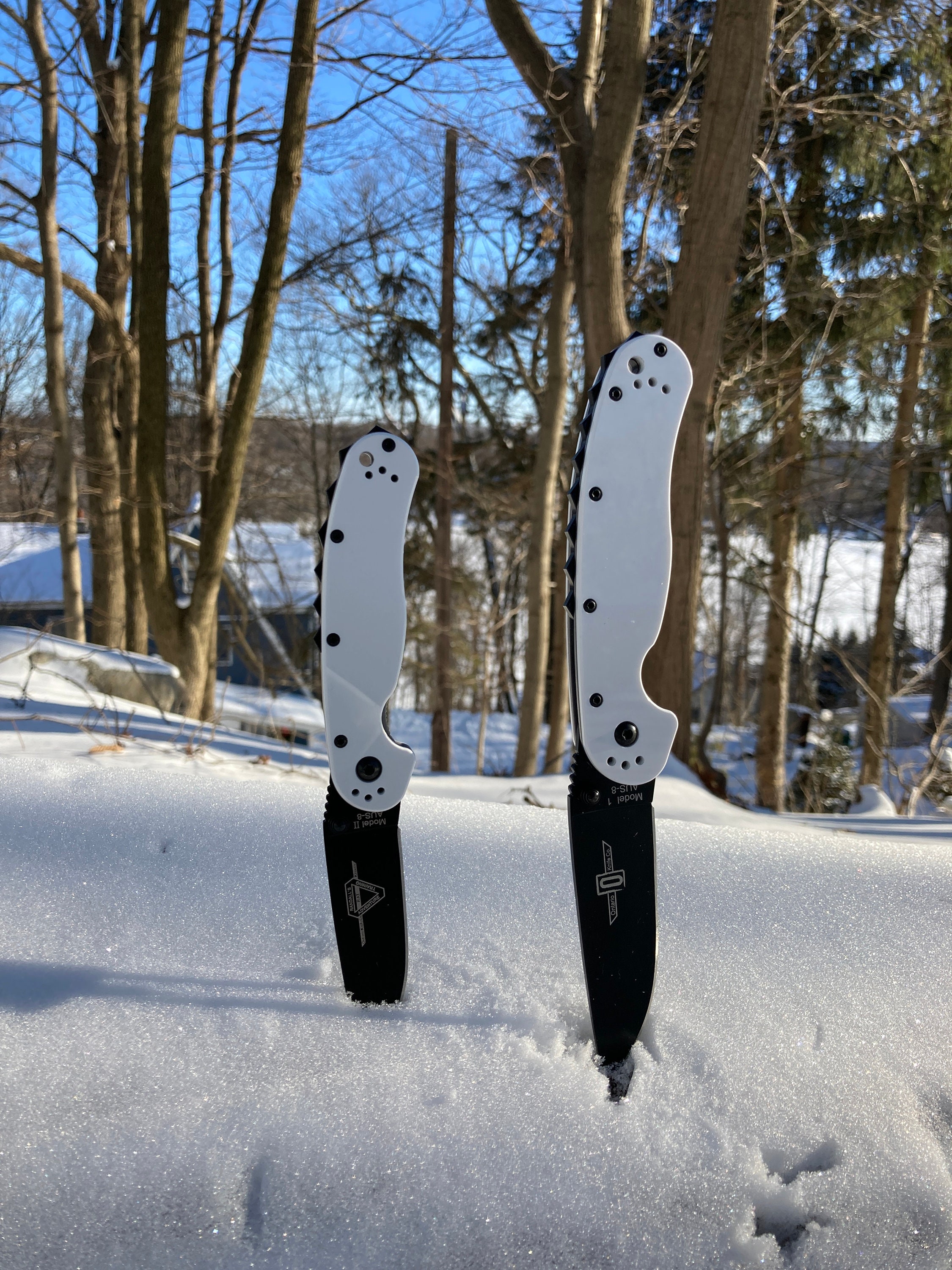 Imperial Storm Ontario Rat 1 & 2 Scales - Etsy
