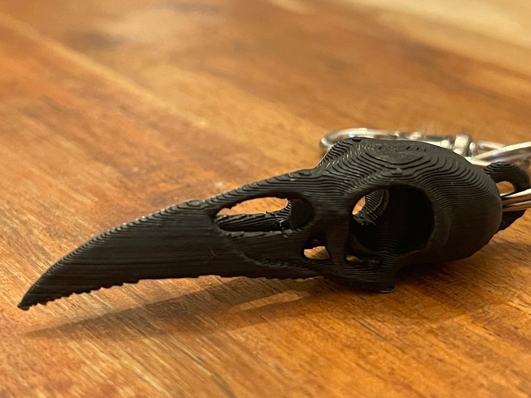 Raven Skull Keychain Gothic, Macabre Accessory Ravenhood Booktok Bird ...