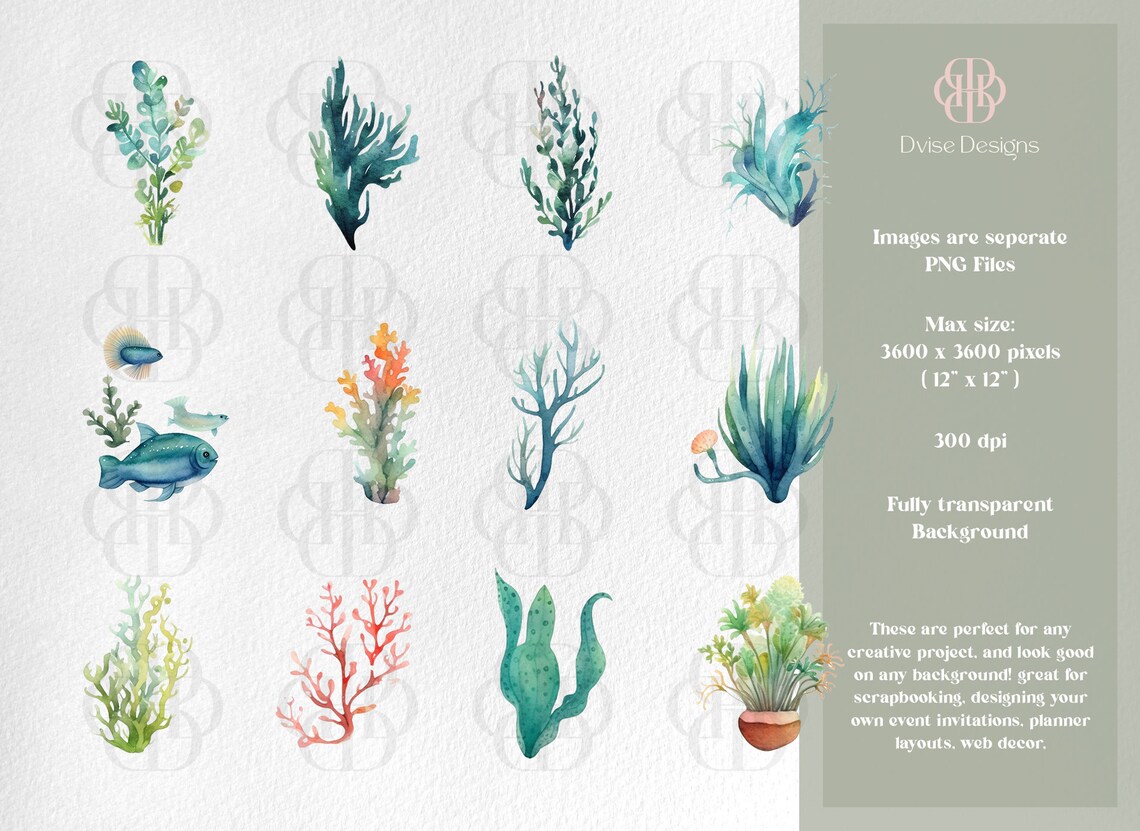 60 Ocean Watercolor Clipart Bundle Sea Creature Nursery Art Ocean Baby ...