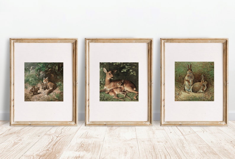 Vintage Woodland Print Set Vintage Forest Animal Prints - Etsy