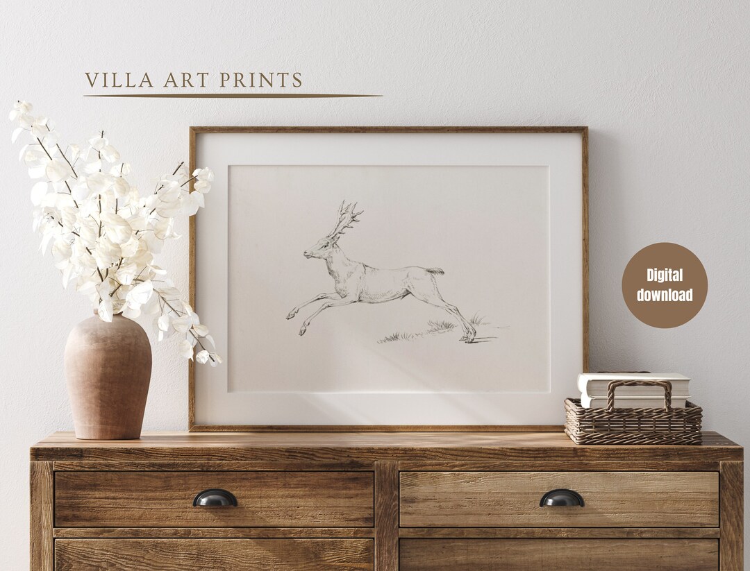 Rustic Vintage Deer Sketch Print, Antique Nursery Woodland Drawing ...