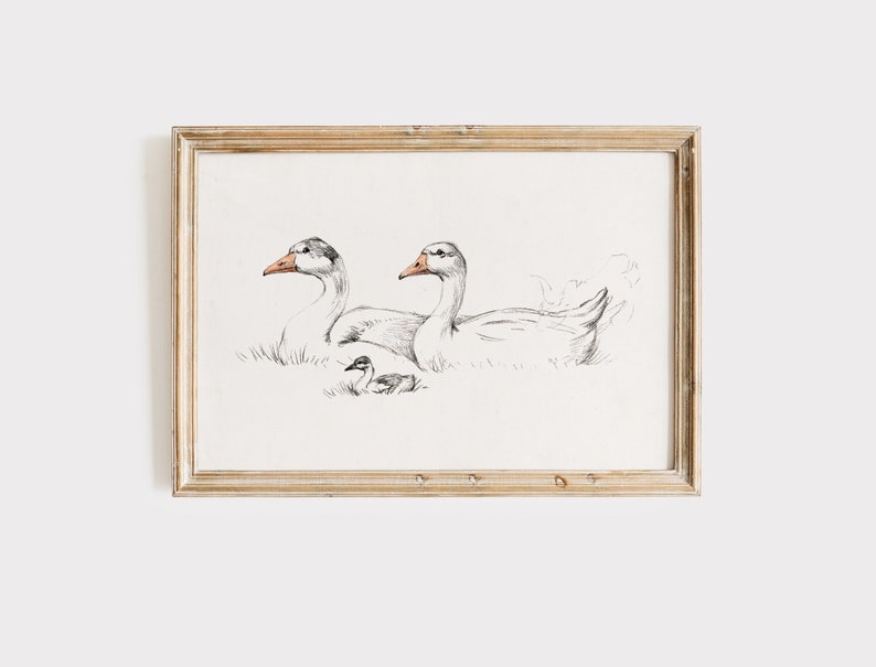Printable Vintage Geese Pencil Sketch Print Antique Nursery - Etsy