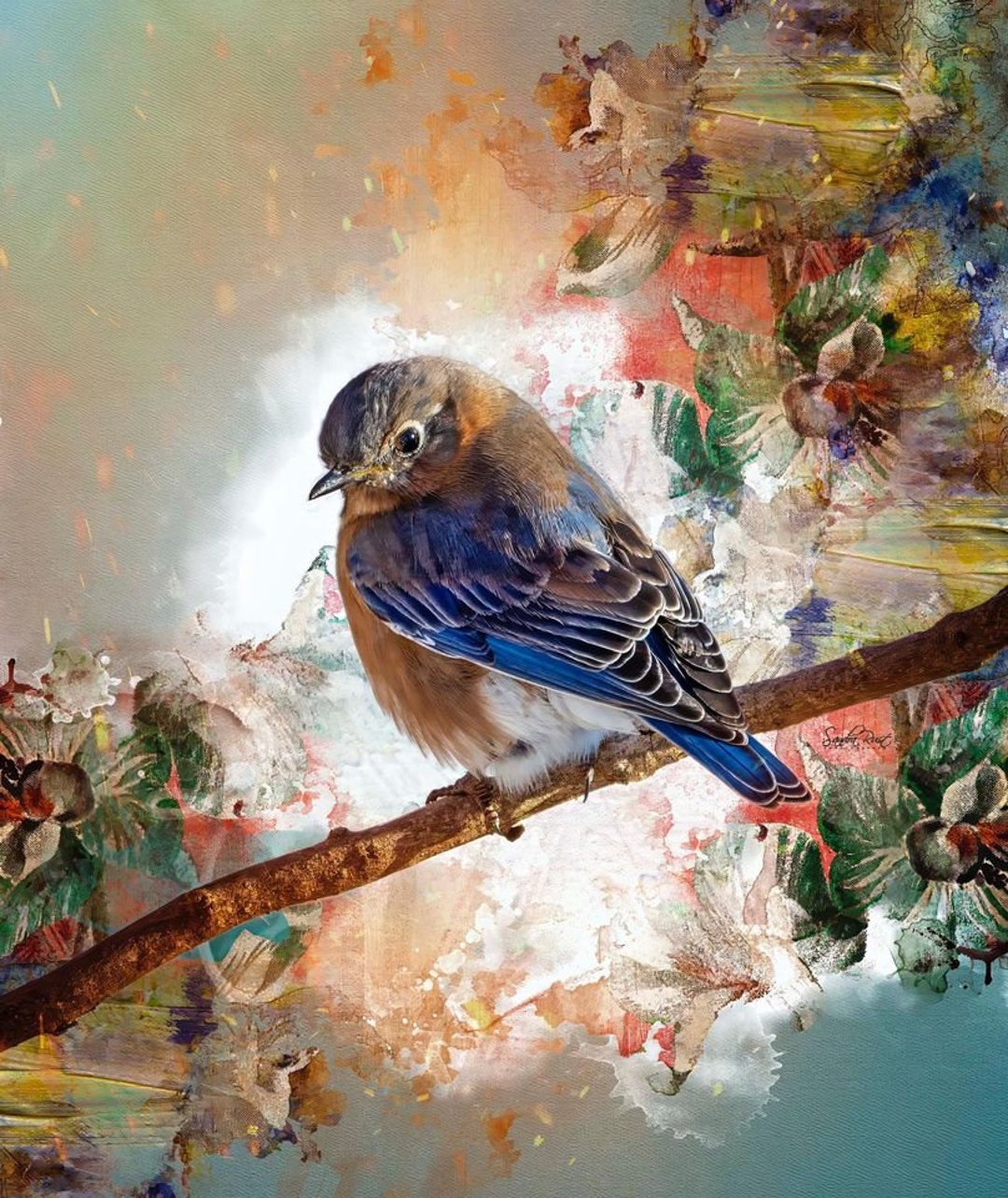EASTERN BLUEBIRD ART Owl Wall Art Bird Lover Artwork Fine Art Birds ...