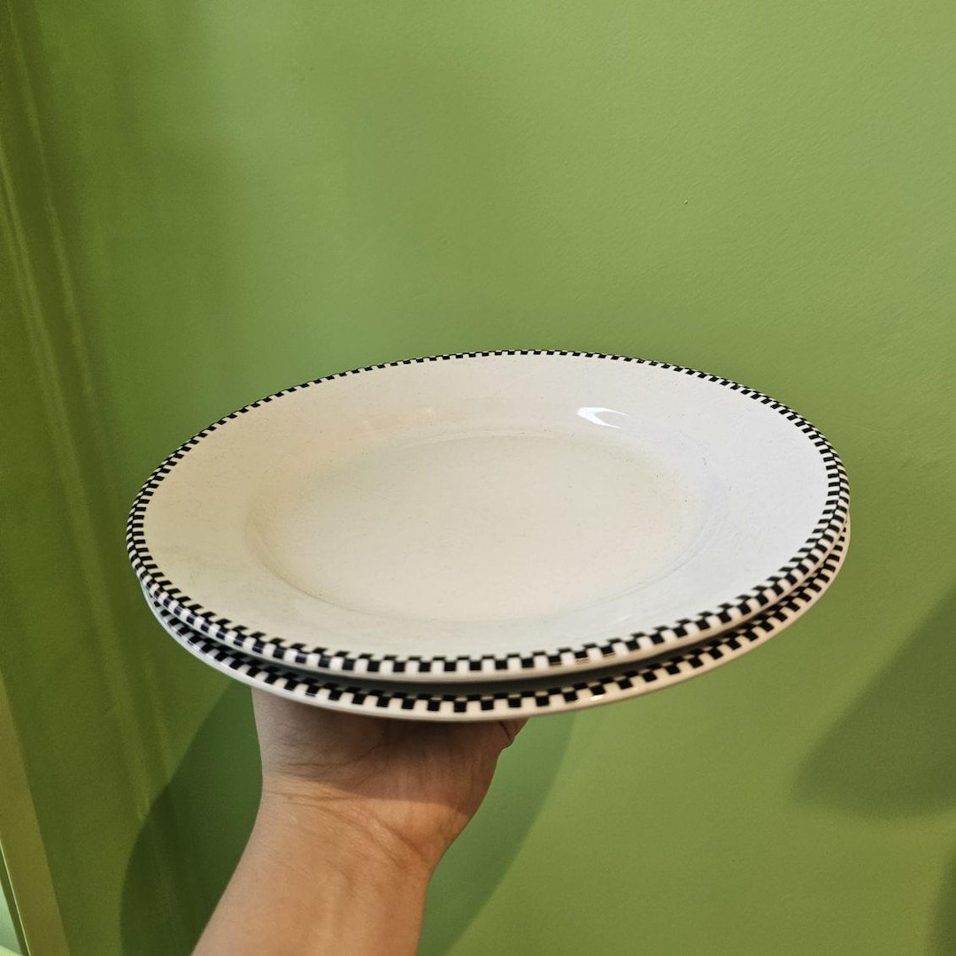 Checker Lined Dinner Plates! - Etsy