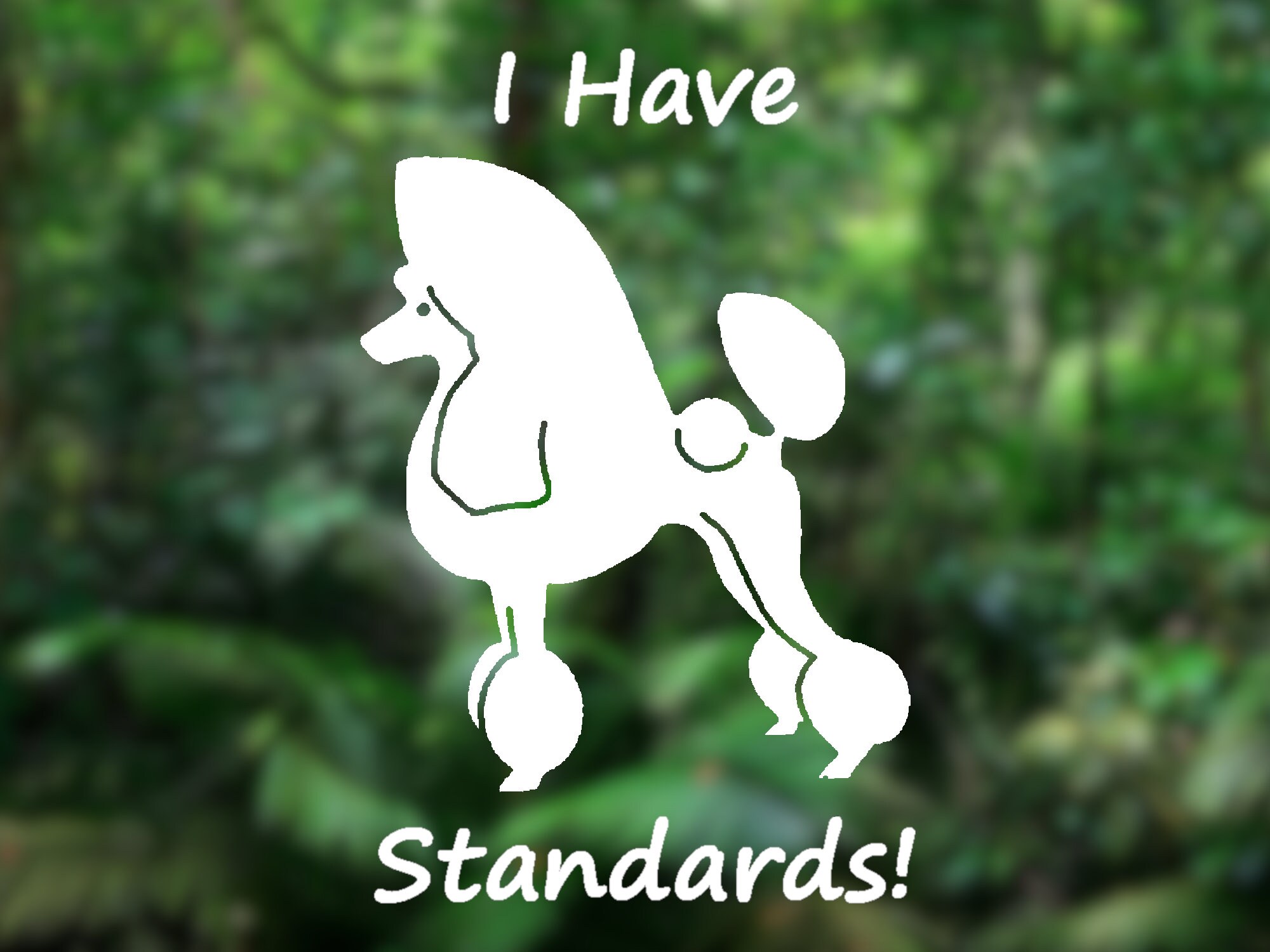 Standard Poodle Decal, Car Decal, Car Sticker, Bumper Sticker, Laptop ...