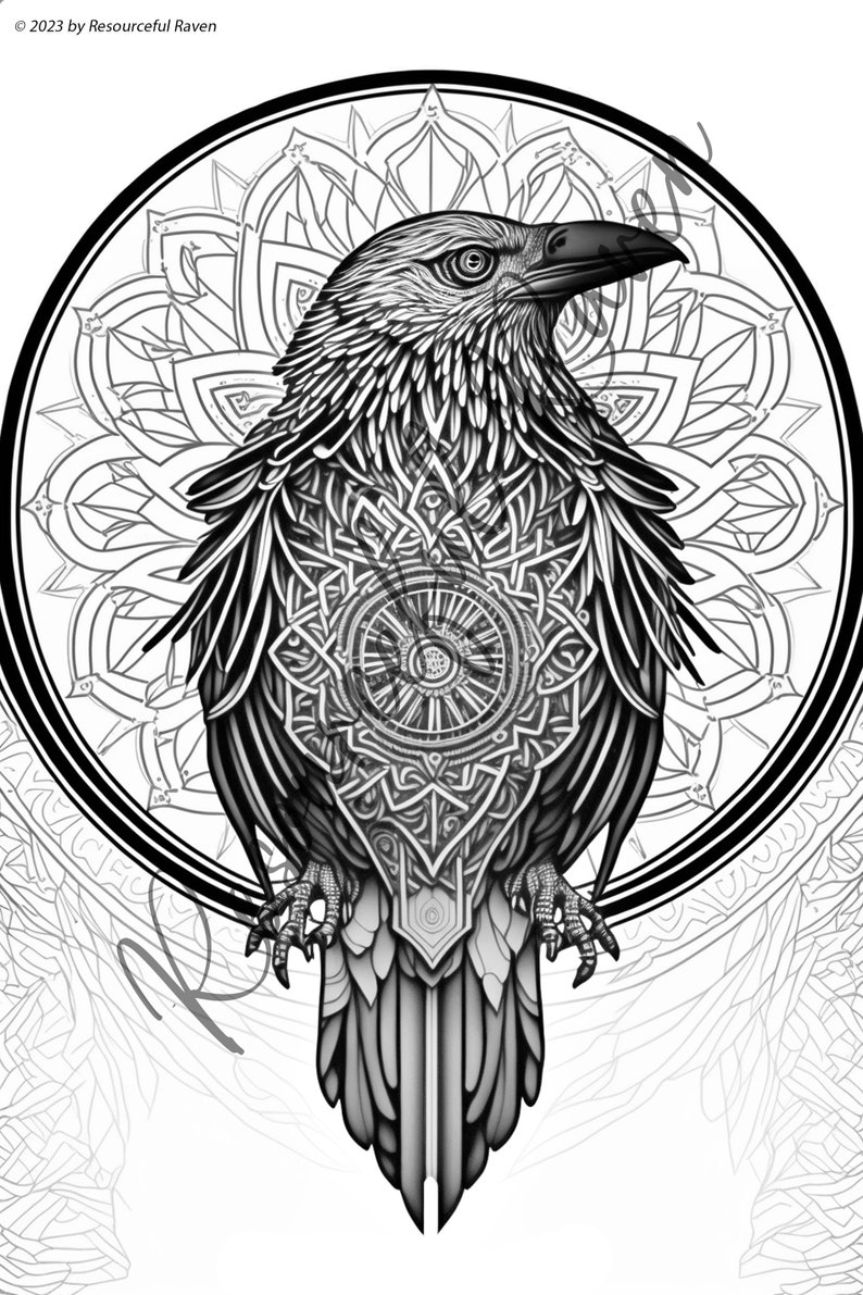 Beautiful Ravens - Volume 2 - Adult Coloring - 5 Pages - Raven, Crow ...