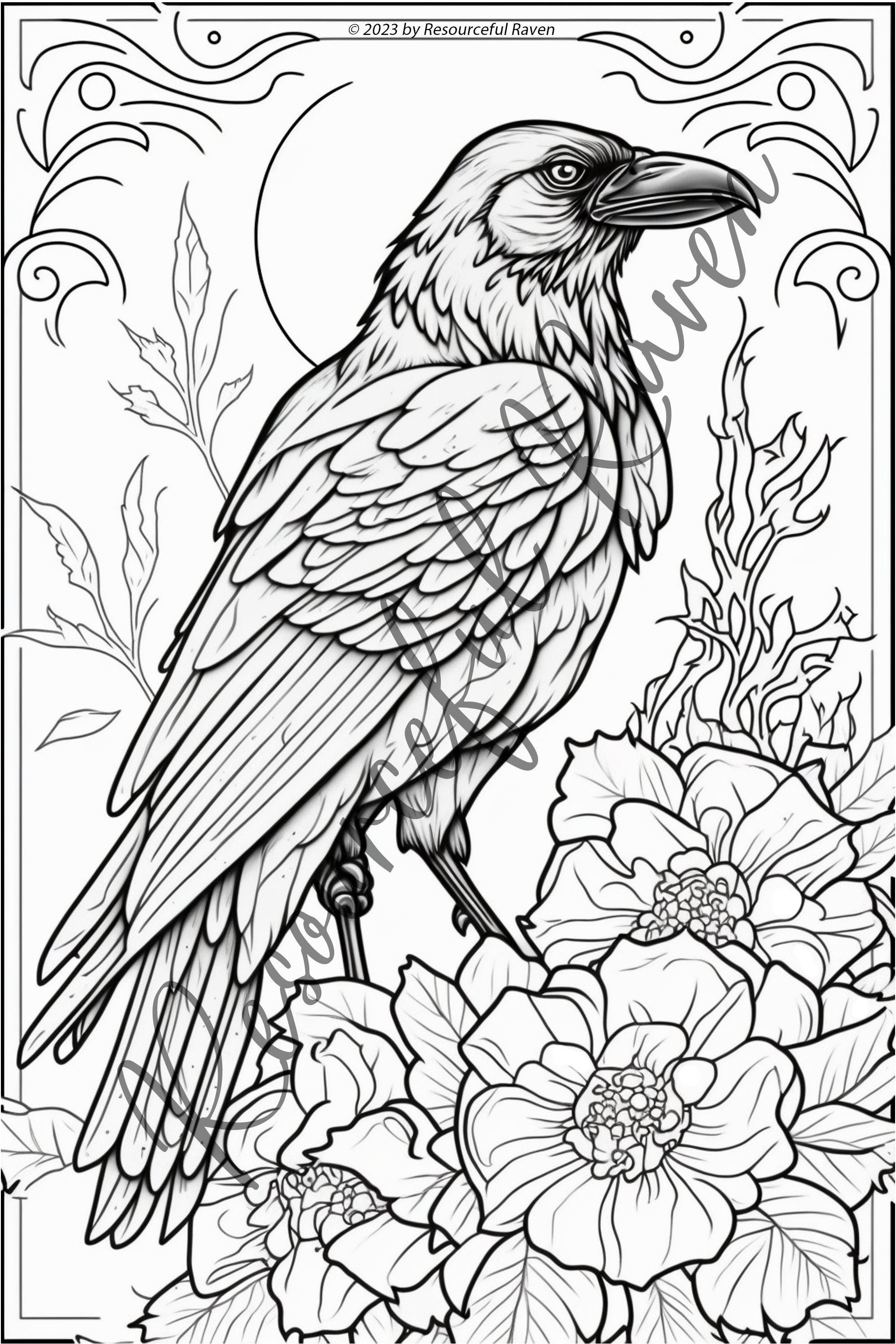 Beautiful Ravens - Volume 1 - Adult Coloring - 5 Pages - Raven, Crow ...