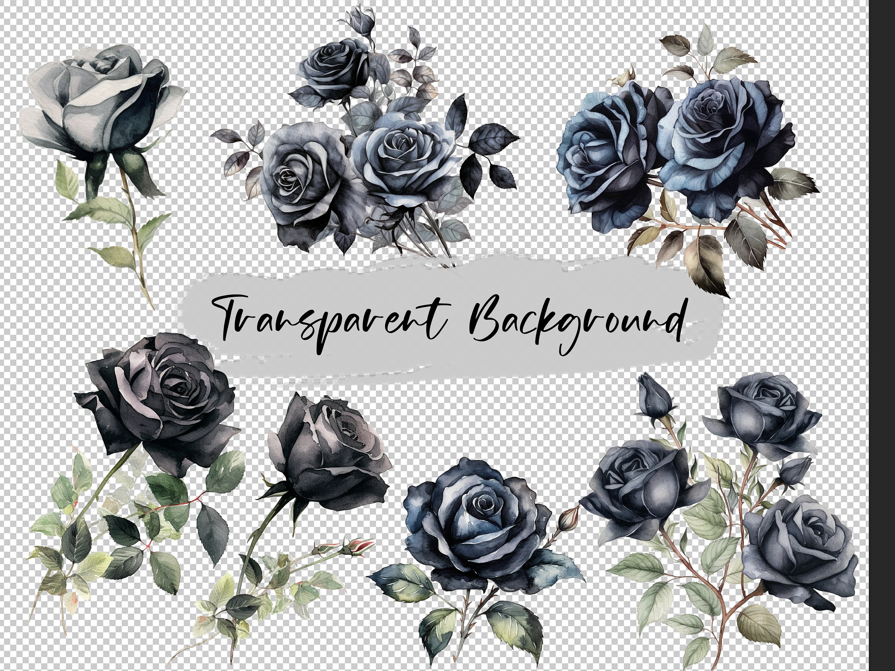 Black Roses Clipart PNG - Watercolor Floral and Balloon Arches, 25 PNG ...