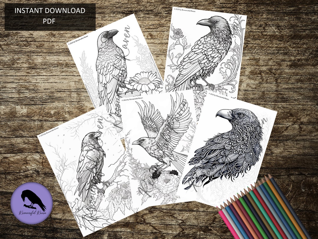Beautiful Ravens - Volume 3 - Adult Coloring - 5 Pages - Raven, Crow ...