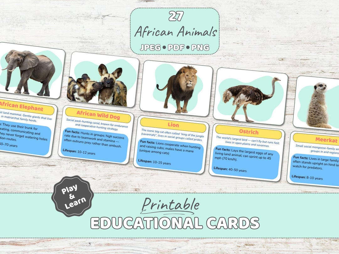 27 African Animals | Printable Educational Cards | Fun and Engaging ...