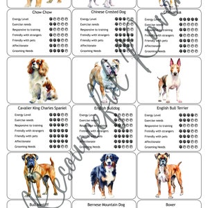 Dog Breeds - Printable Educational Dog Breed Cards - 72 Breeds - Learn ...