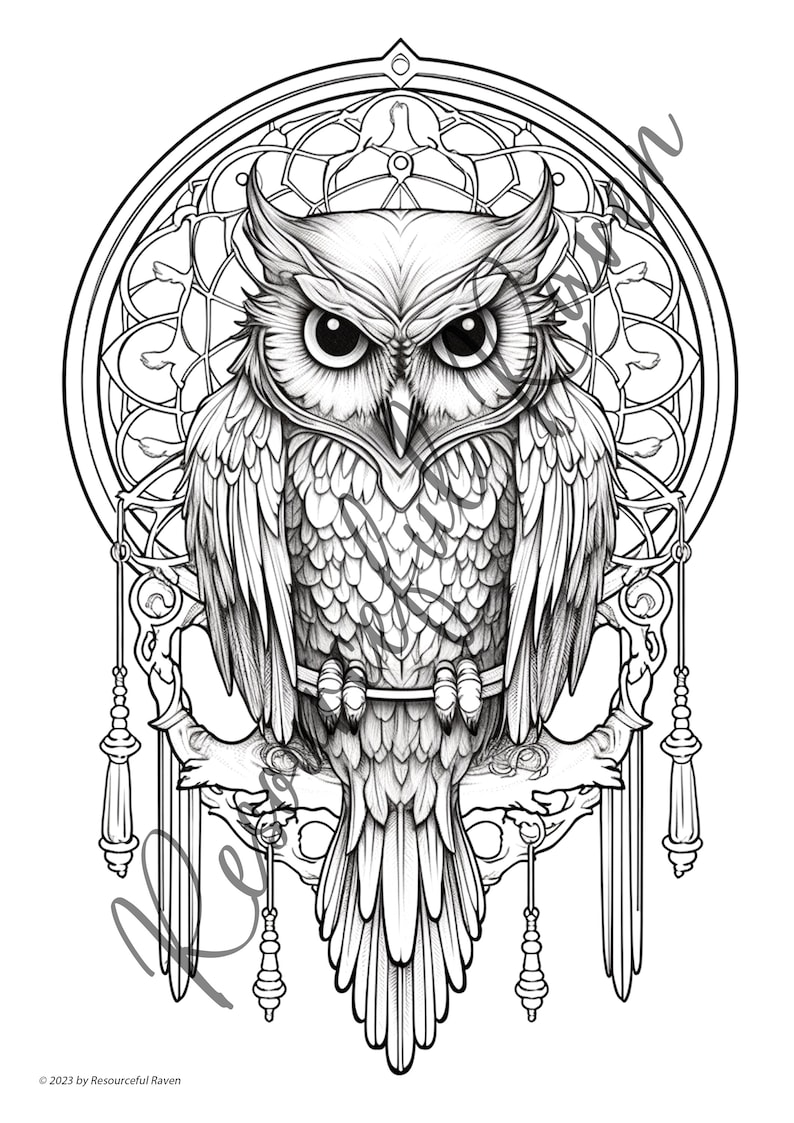 13 Majestic Owls - Printable Adult Coloring Pages - Owl Coloring ...