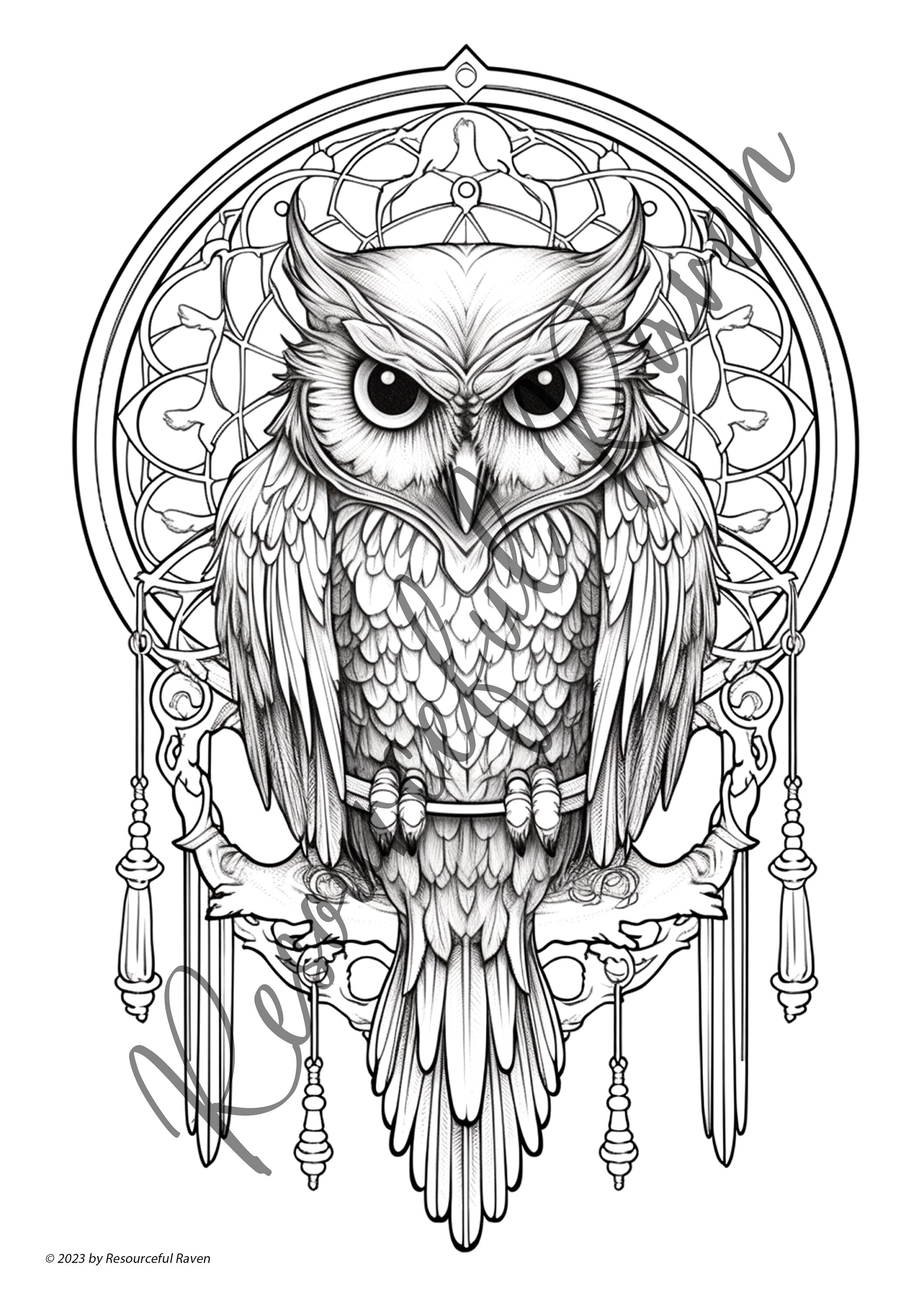 13 Majestic Owls - Printable Adult Coloring Pages - Owl Coloring ...