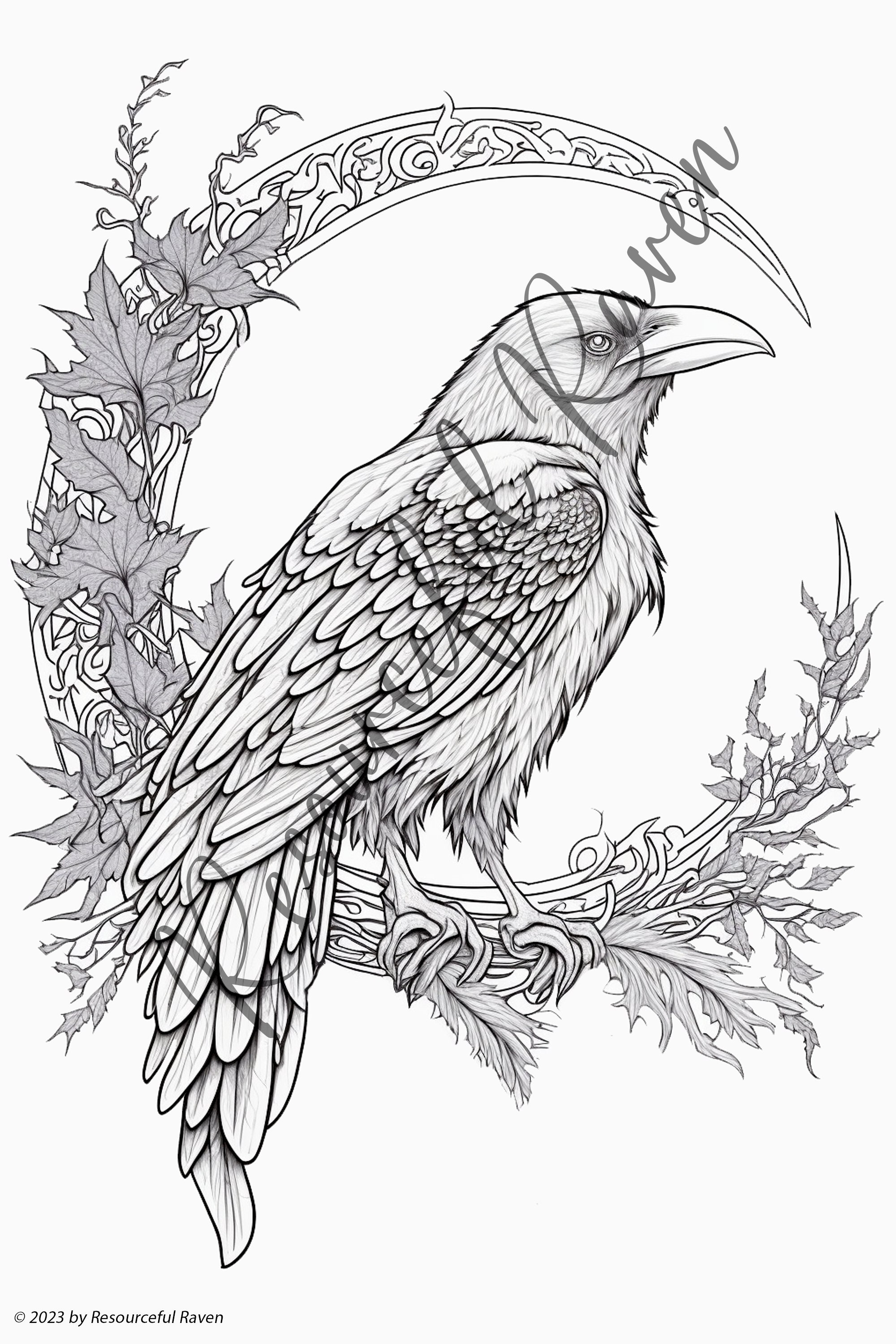 Beautiful Ravens - Volume 2 - Adult Coloring - 5 Pages - Raven, Crow ...