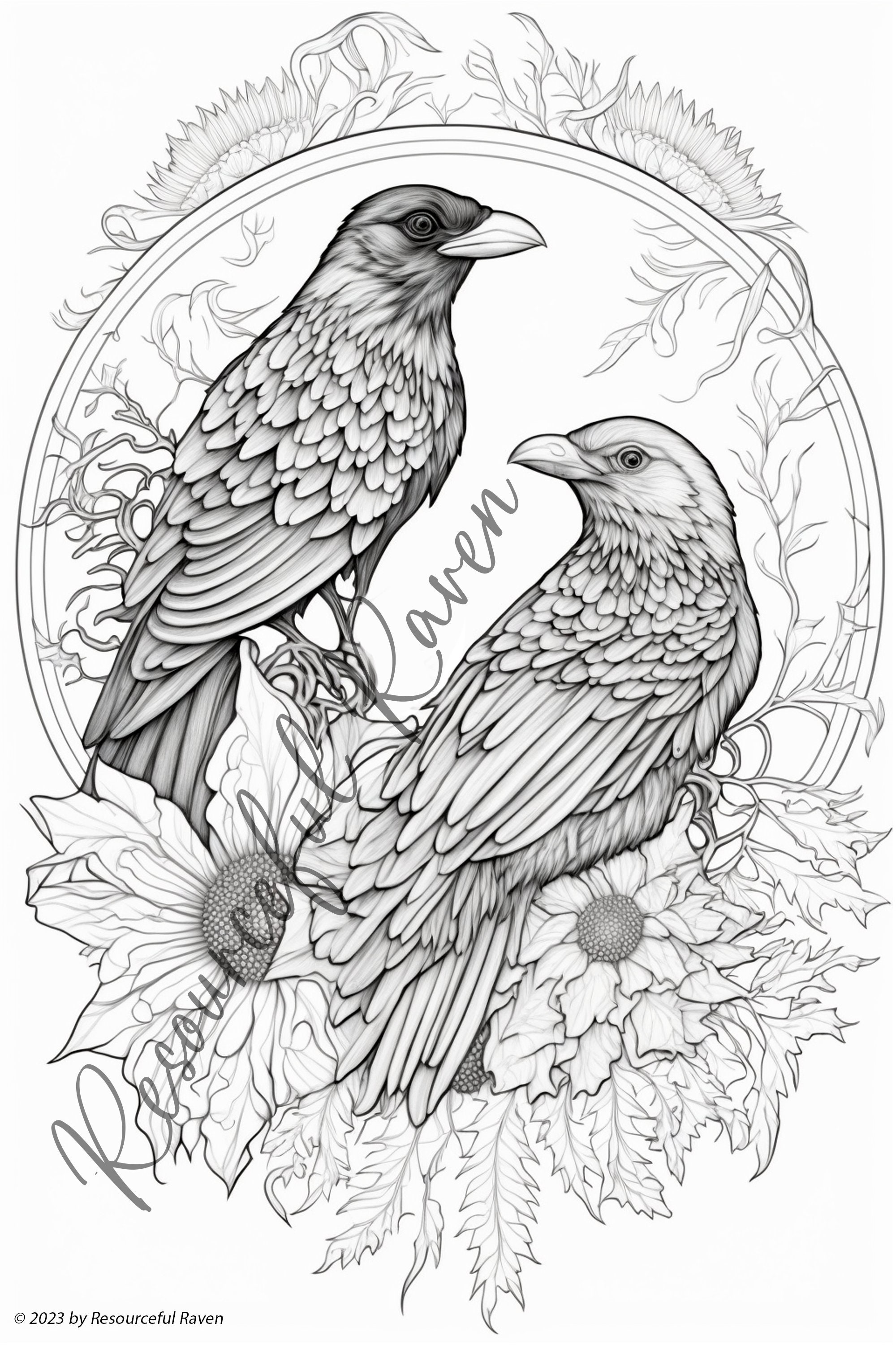 Beautiful Ravens - Volume 2 - Adult Coloring - 5 Pages - Raven, Crow ...