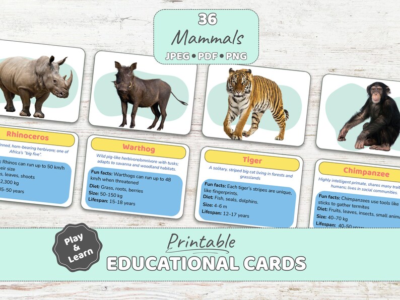 36 Mammals | Printable Educational Cards | Fun, Engaging Learning Aid ...