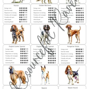 Dog Breeds - Printable Educational Dog Breed Cards - 72 Breeds - Learn ...