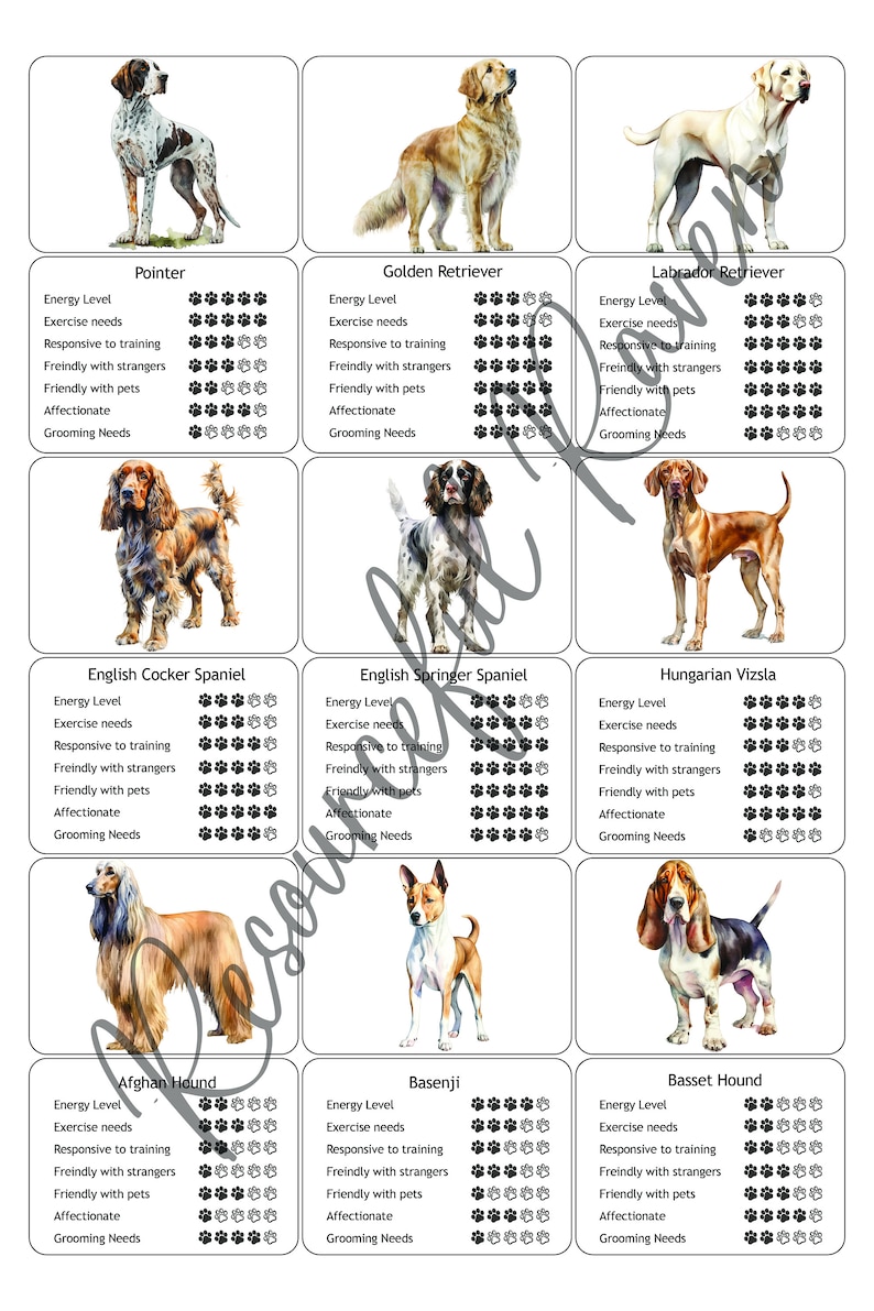 Dog Breeds - Printable Educational Dog Breed Cards - 72 Breeds - Learn ...