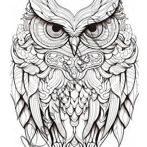 13 Majestic Owls - Printable Adult Coloring Pages - Owl Coloring ...