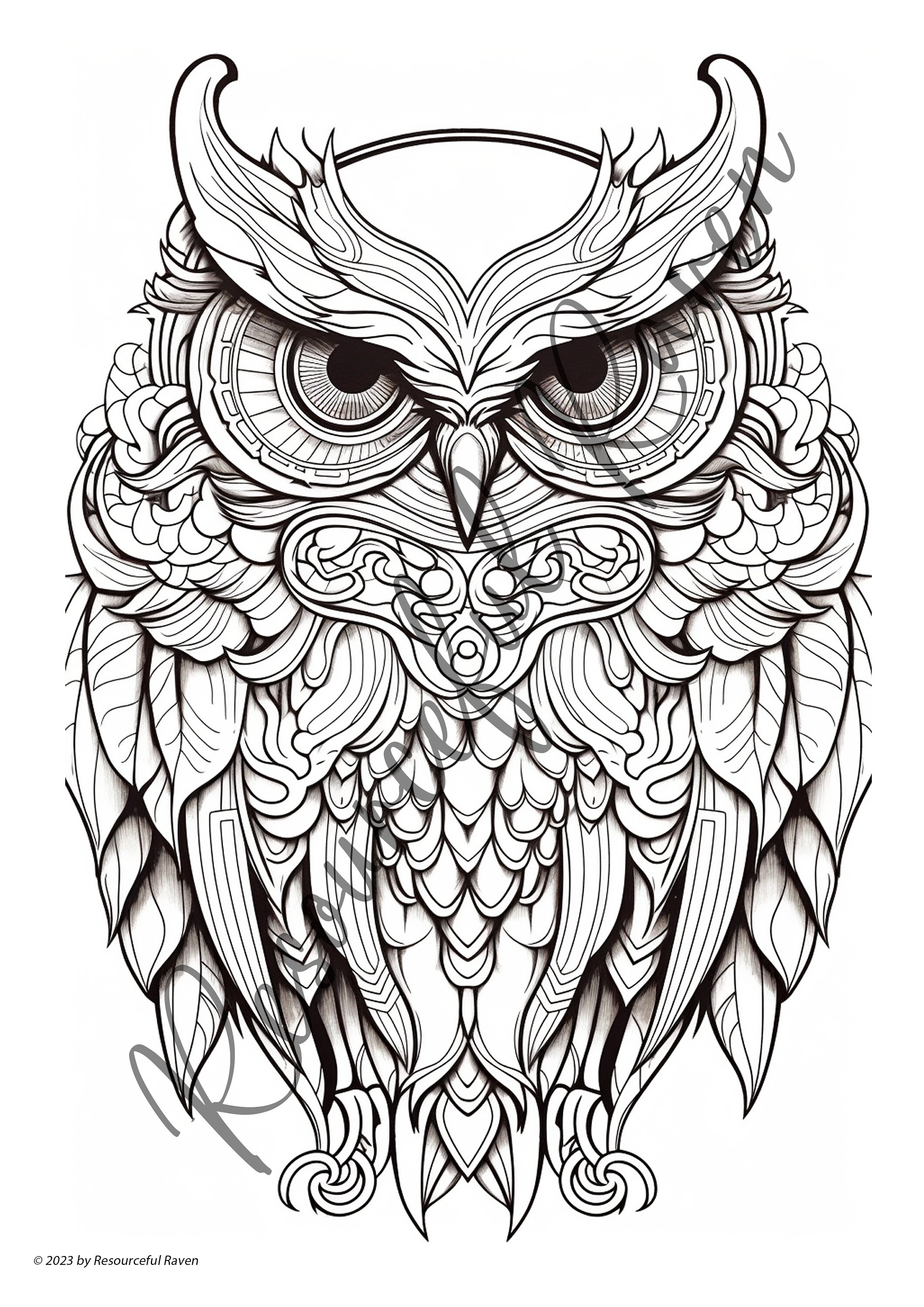 13 Majestic Owls - Printable Adult Coloring Pages - Owl Coloring ...