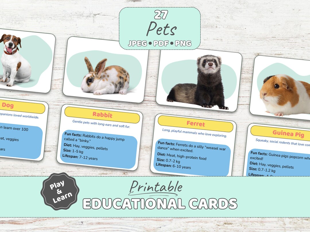 27 Pets | Printable Educational Cards | Fun and Engaging Learning Aid ...
