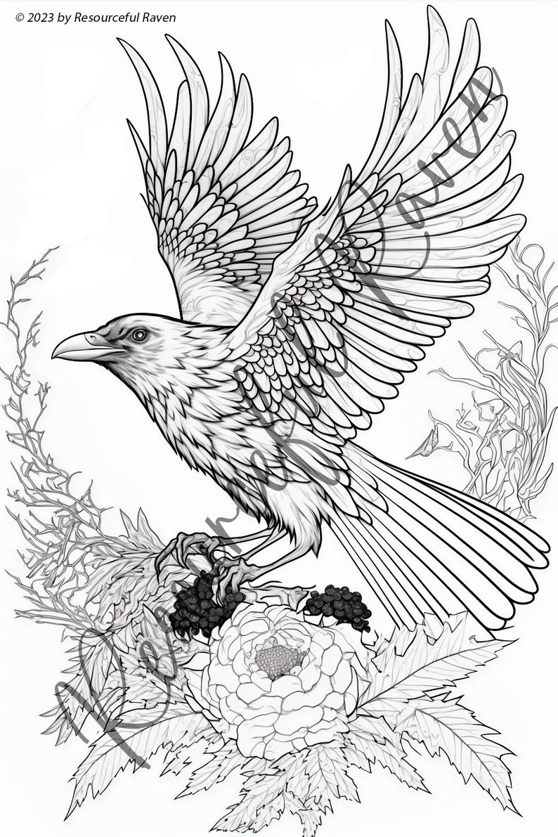 Beautiful Ravens Volume 3 Adult Coloring 5 Pages - Etsy