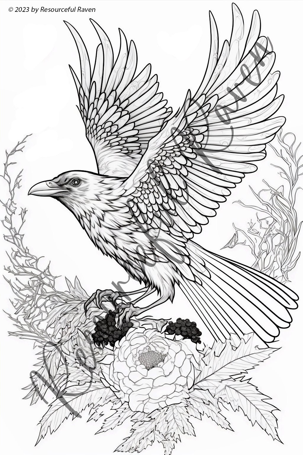 Beautiful Ravens - Volume 3 - Adult Coloring - 5 Pages - Raven, Crow ...