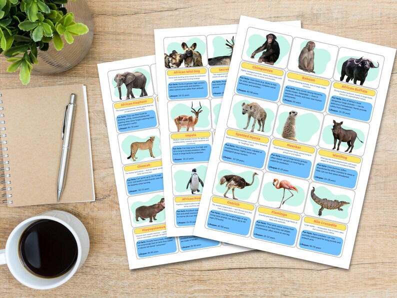 27 African Animals | Printable Educational Cards | Fun and Engaging ...