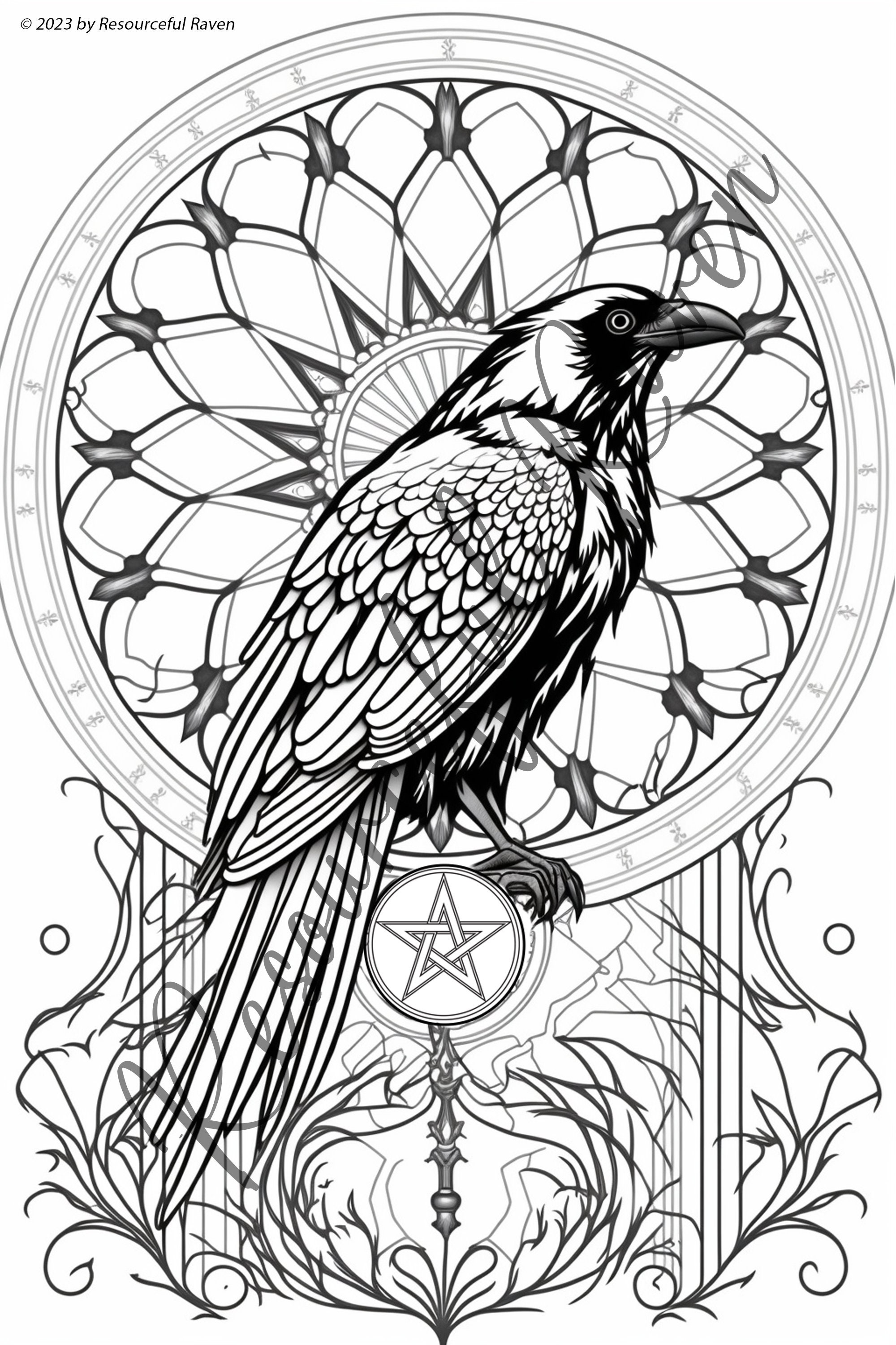 Beautiful Ravens - Volume 1 - Adult Coloring - 5 Pages - Raven, Crow ...