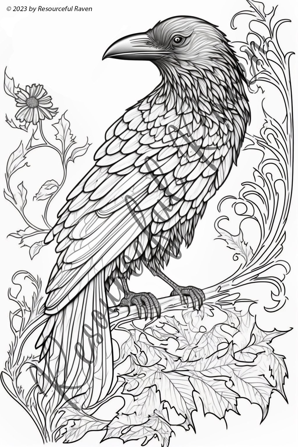 Beautiful Ravens - Volume 3 - Adult Coloring - 5 Pages - Raven, Crow ...