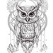 13 Majestic Owls - Printable Adult Coloring Pages - Owl Coloring ...
