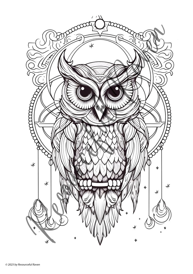 13 Majestic Owls - Printable Adult Coloring Pages - Owl Coloring ...