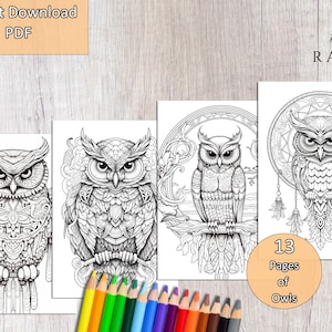 13 Majestic Owls - Printable Adult Coloring Pages - Owl Coloring ...