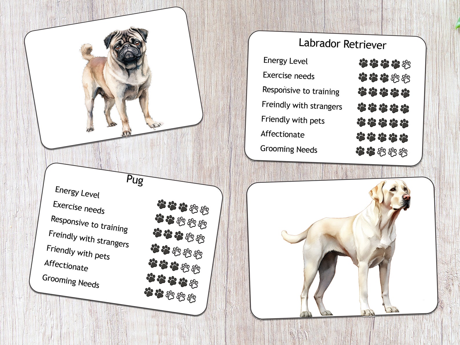 Dog Breeds - Printable Educational Dog Breed Cards - 72 Breeds - Learn ...