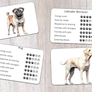 Dog Breeds - Printable Educational Dog Breed Cards - 72 Breeds - Learn ...