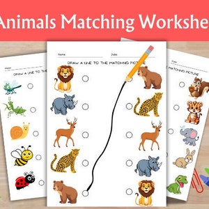 Animals and Nature Matching Worksheets, Printable Worksheet, Matching ...