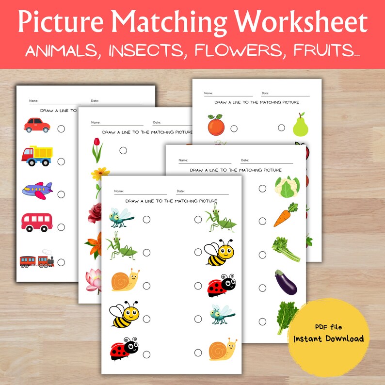 Animals and Nature Matching Worksheets, Printable Worksheet, Matching ...