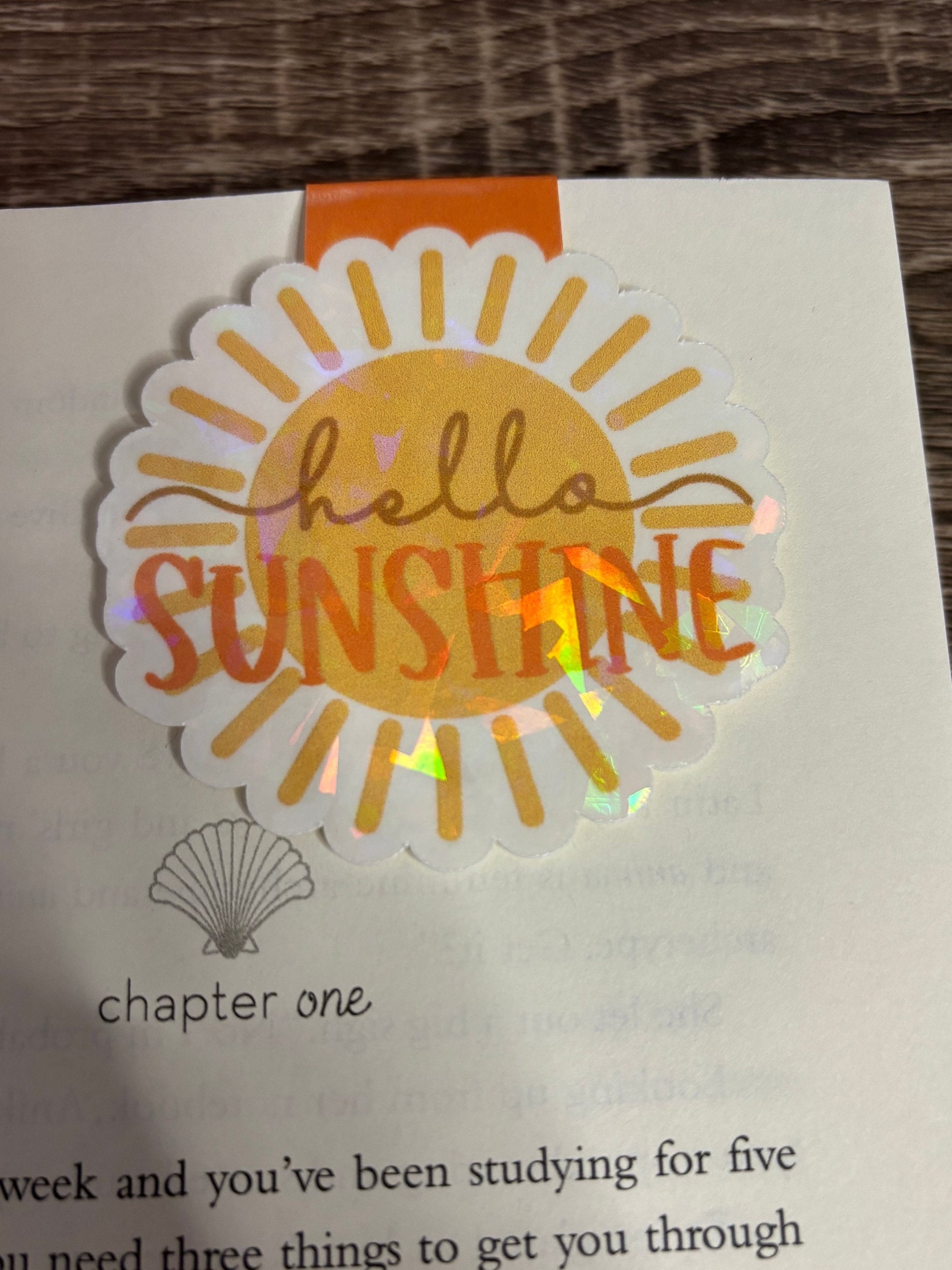 Magnetic Sunshine Bookmark | Gifts for Women Girls, Booklovers | Page ...