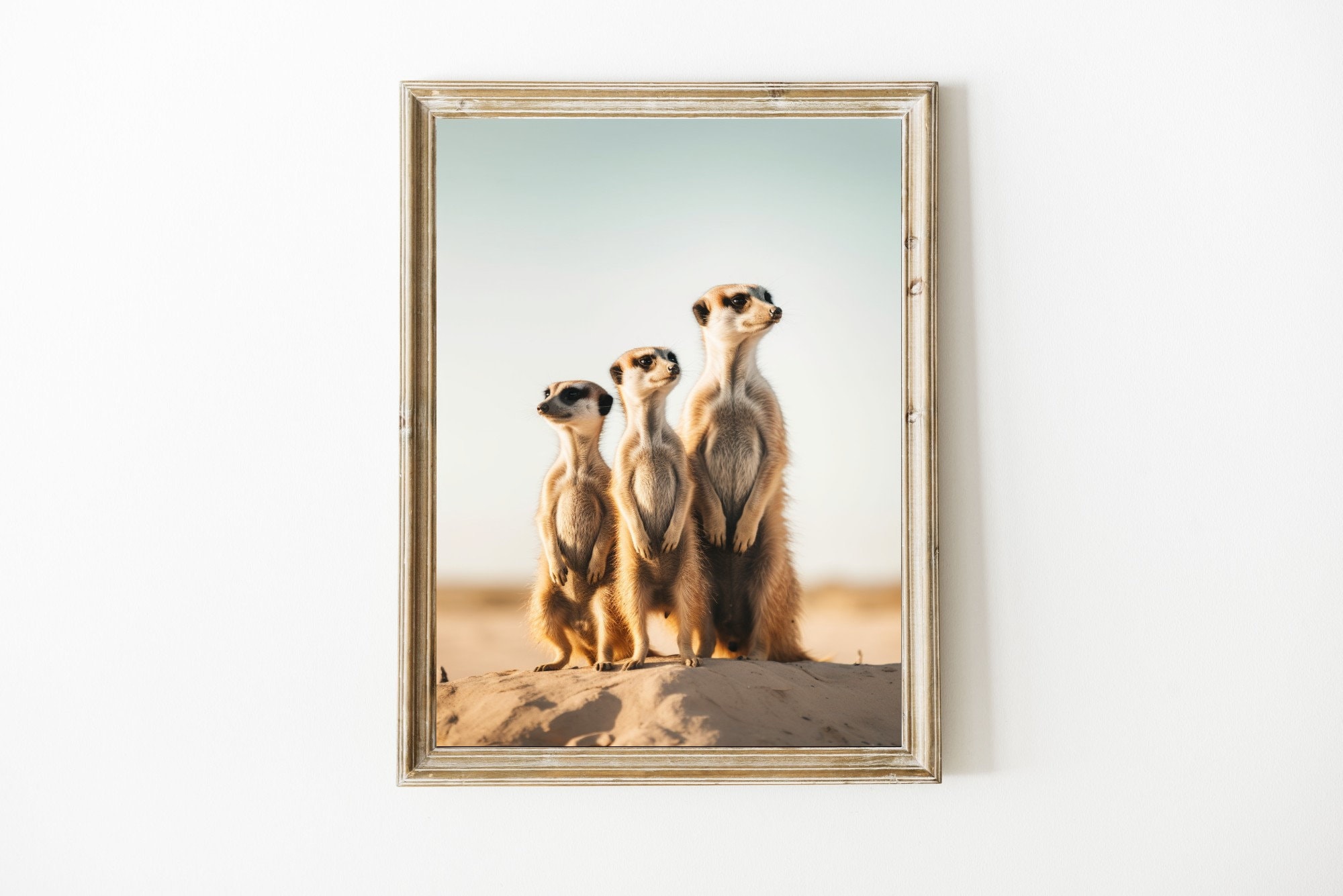 Meerkat Family Wall Art Kalahari Desert Print Curious - Etsy