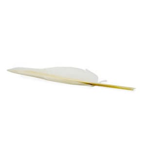 Traditional Cut-nib Goose Quill Pen - Etsy