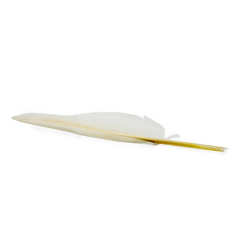 Traditional Cut-nib Goose Quill Pen - Etsy