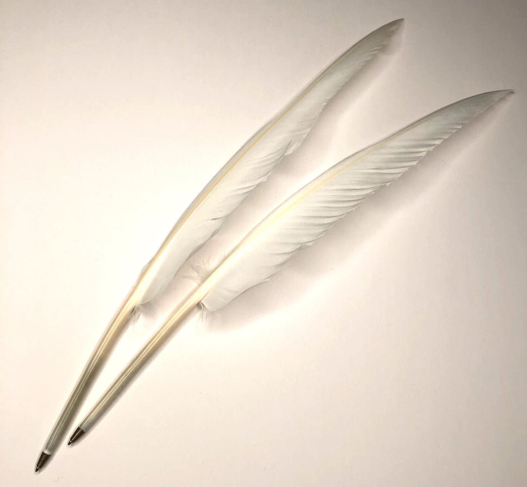Ballpoint Goose Quill Pen - Etsy