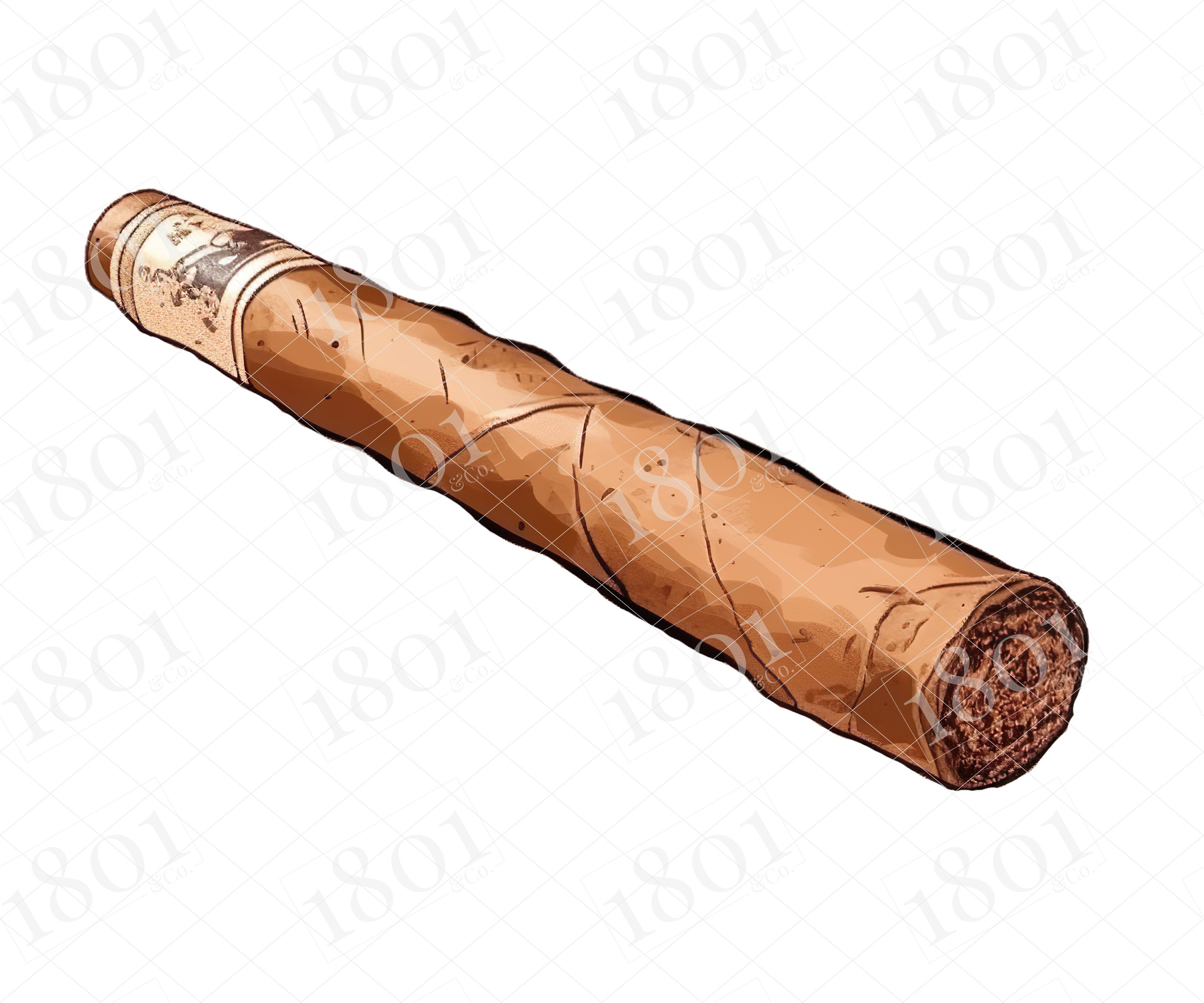 Hand-drawn Cigar Illustration Pack digital Download - Etsy